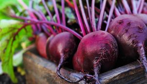 Nutrition : Les bienfaits de la betterave
